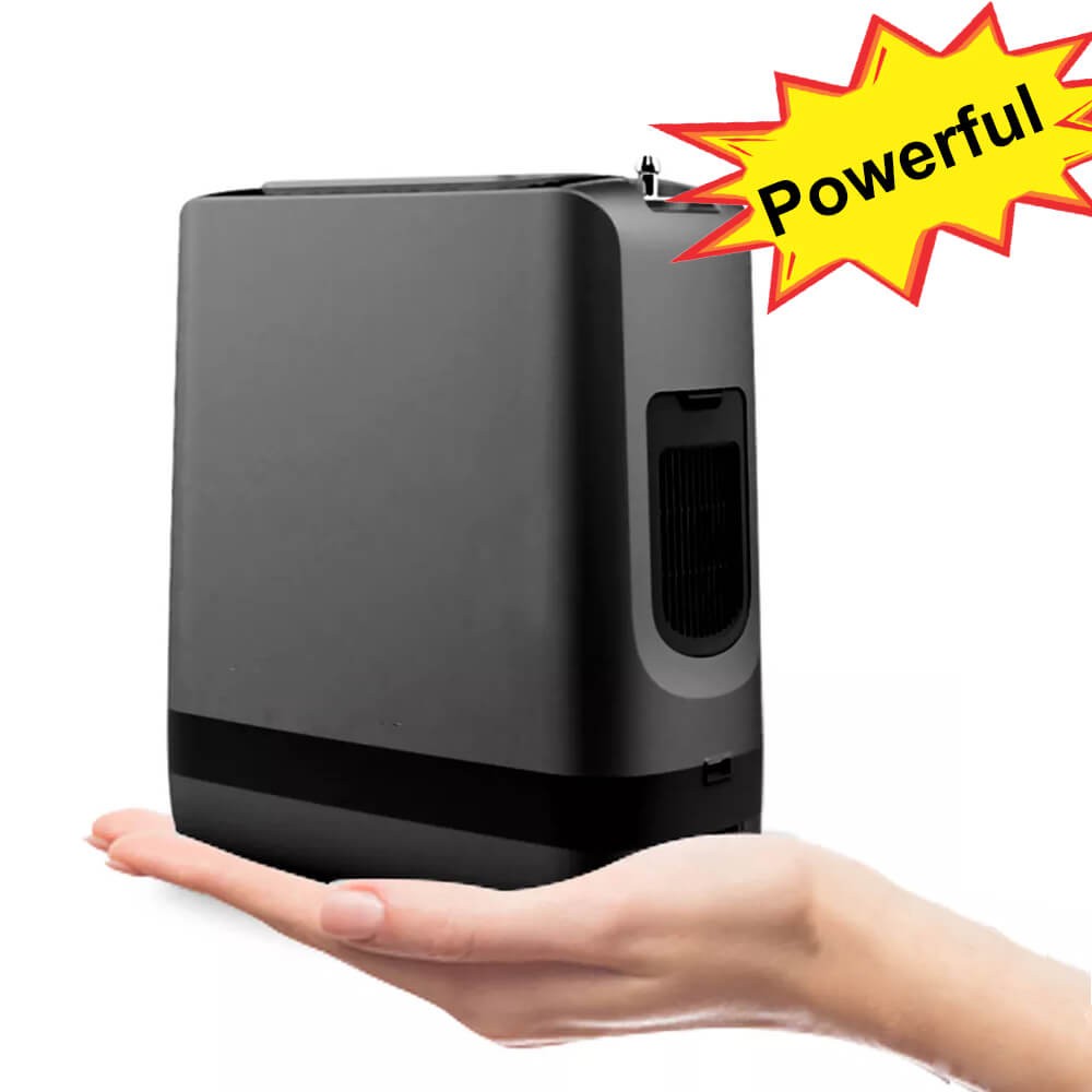 DEDAKJ 1L 5L 7L 9L 10 Liter 93% Oxygen Concentrator O2 Oxygen Generator ...