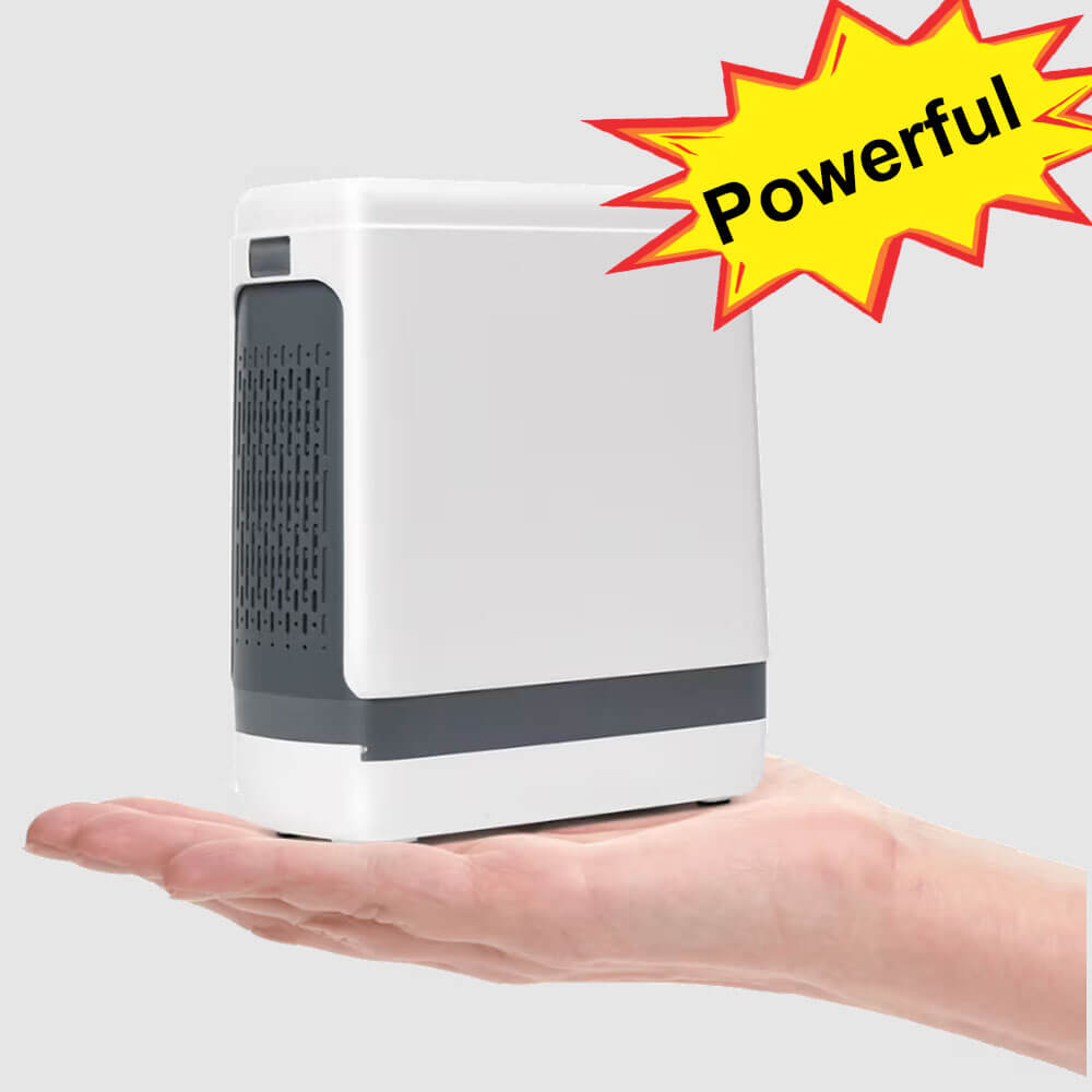 DEDAKJ 1L 5L 7L 9L 10 Liter 93% Oxygen Concentrator O2 Oxygen Generator ...